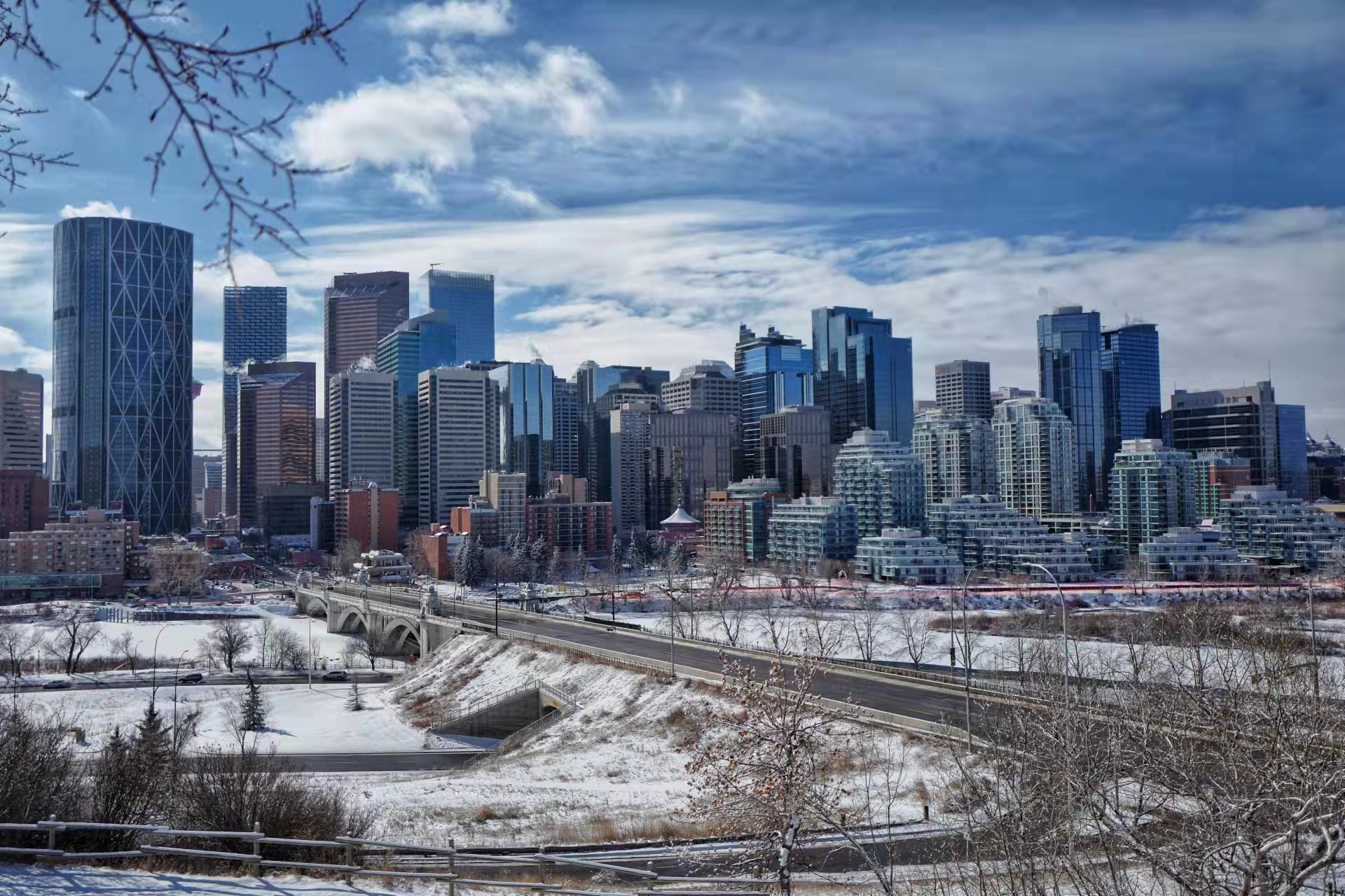 Top Calgary School Bus Rental
